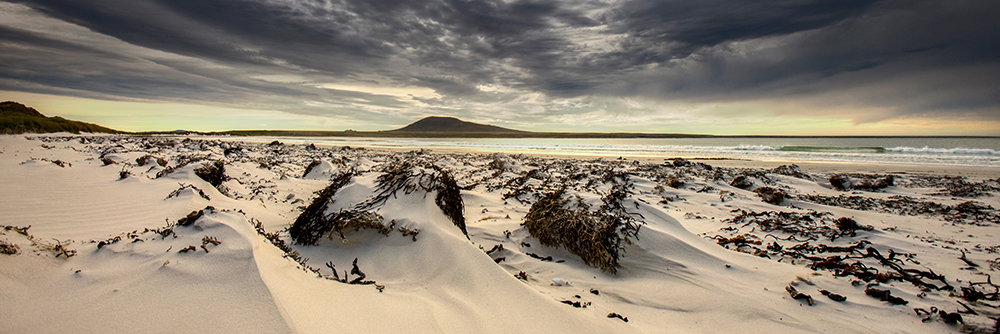 PEBBLE ISLAND, Falkland Islands