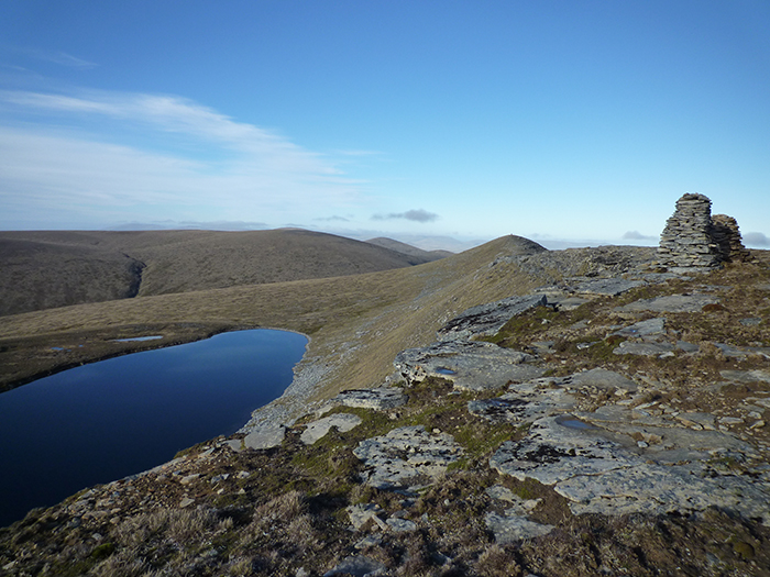 Feldmark habitat, plants Falkland Islands