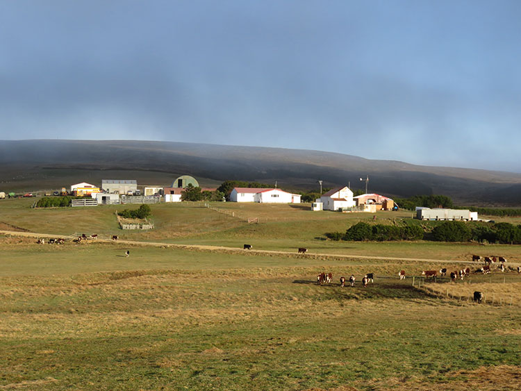 CLIMATE, Falkland Islands