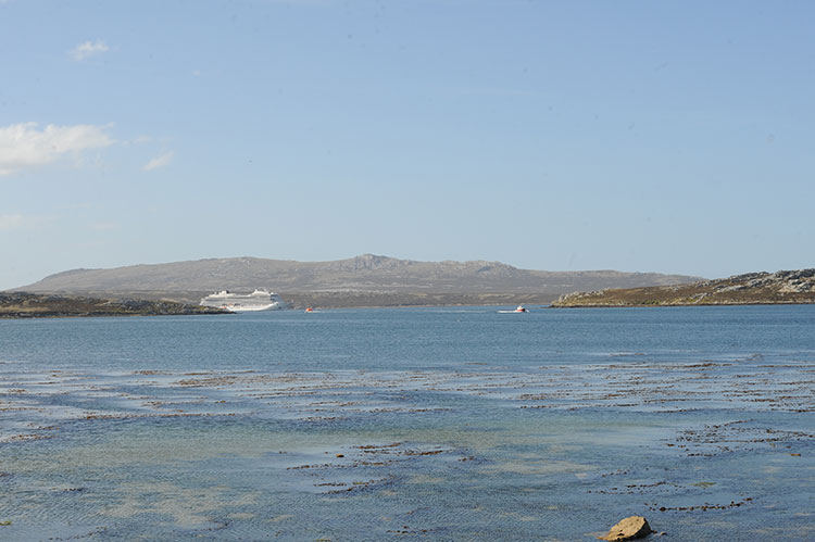 CLIMATE, Falkland Islands