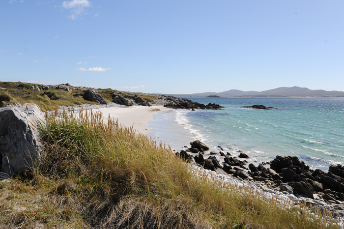 CLIMATE, Falkland Islands